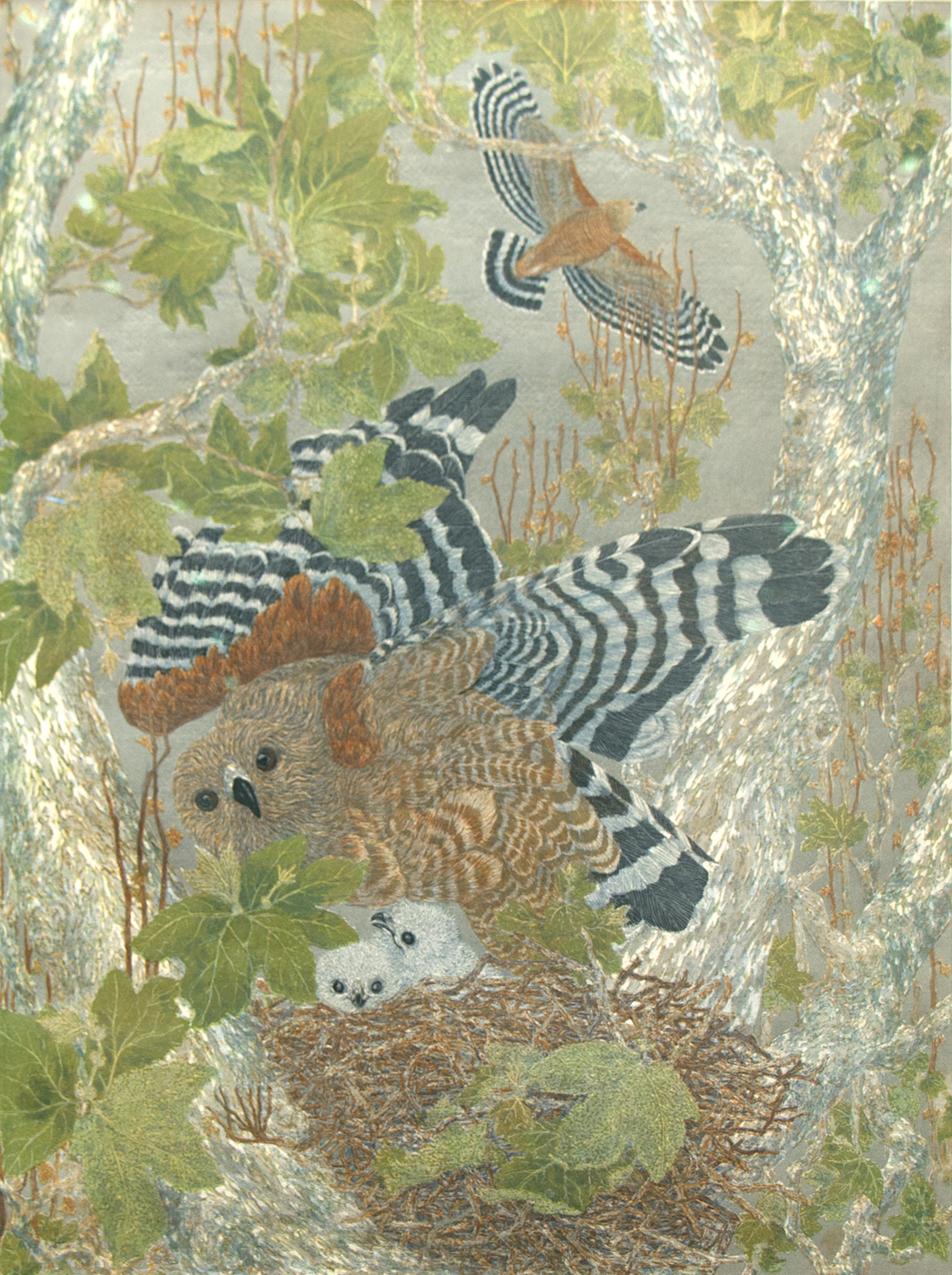 Red Shouldered Hawk Family by Janet Turner | ArtCloud