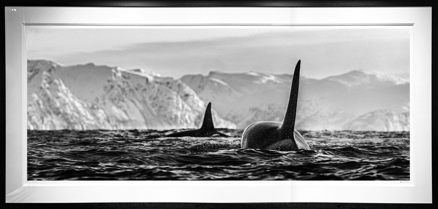 The Killers by David Yarrow | ArtCloud