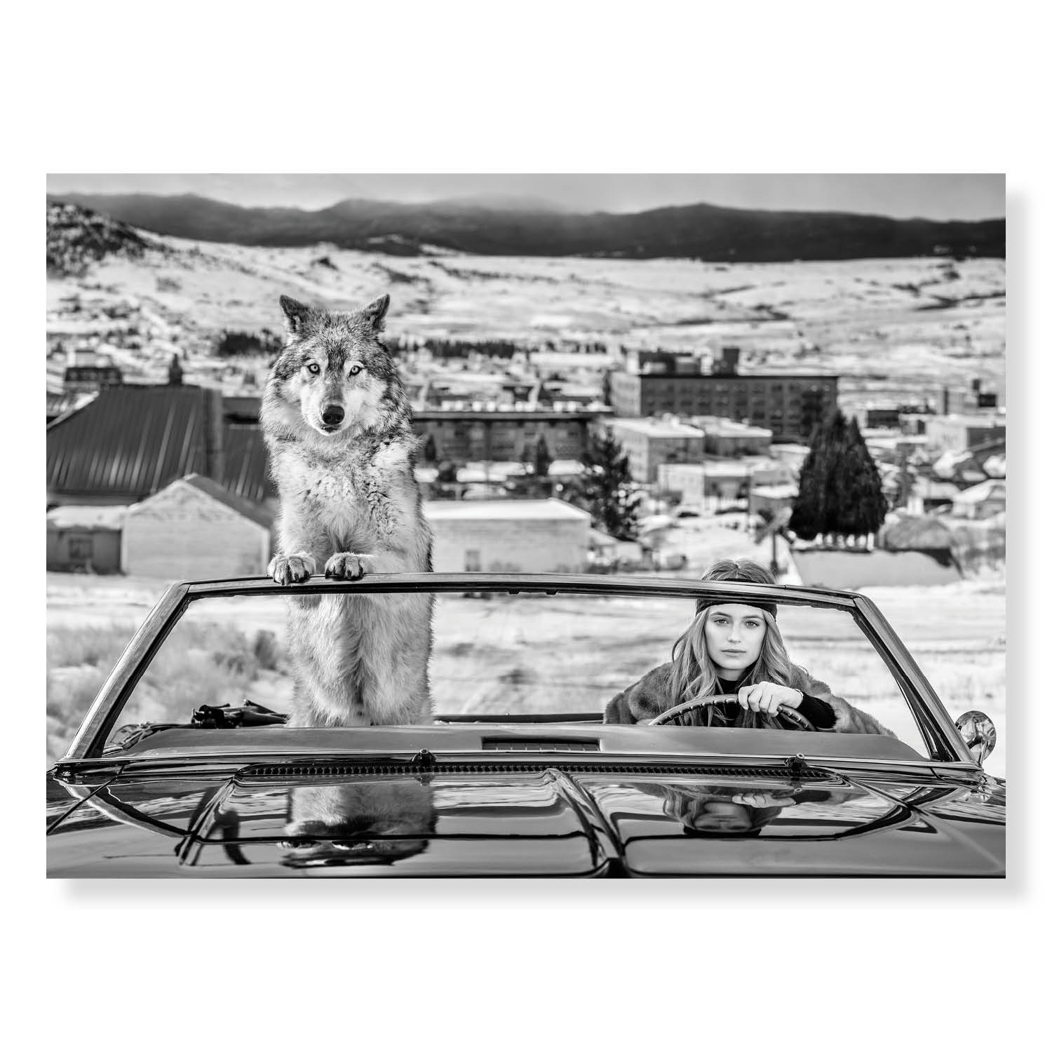 Bonnie and Clyde by David Yarrow | ArtCloud