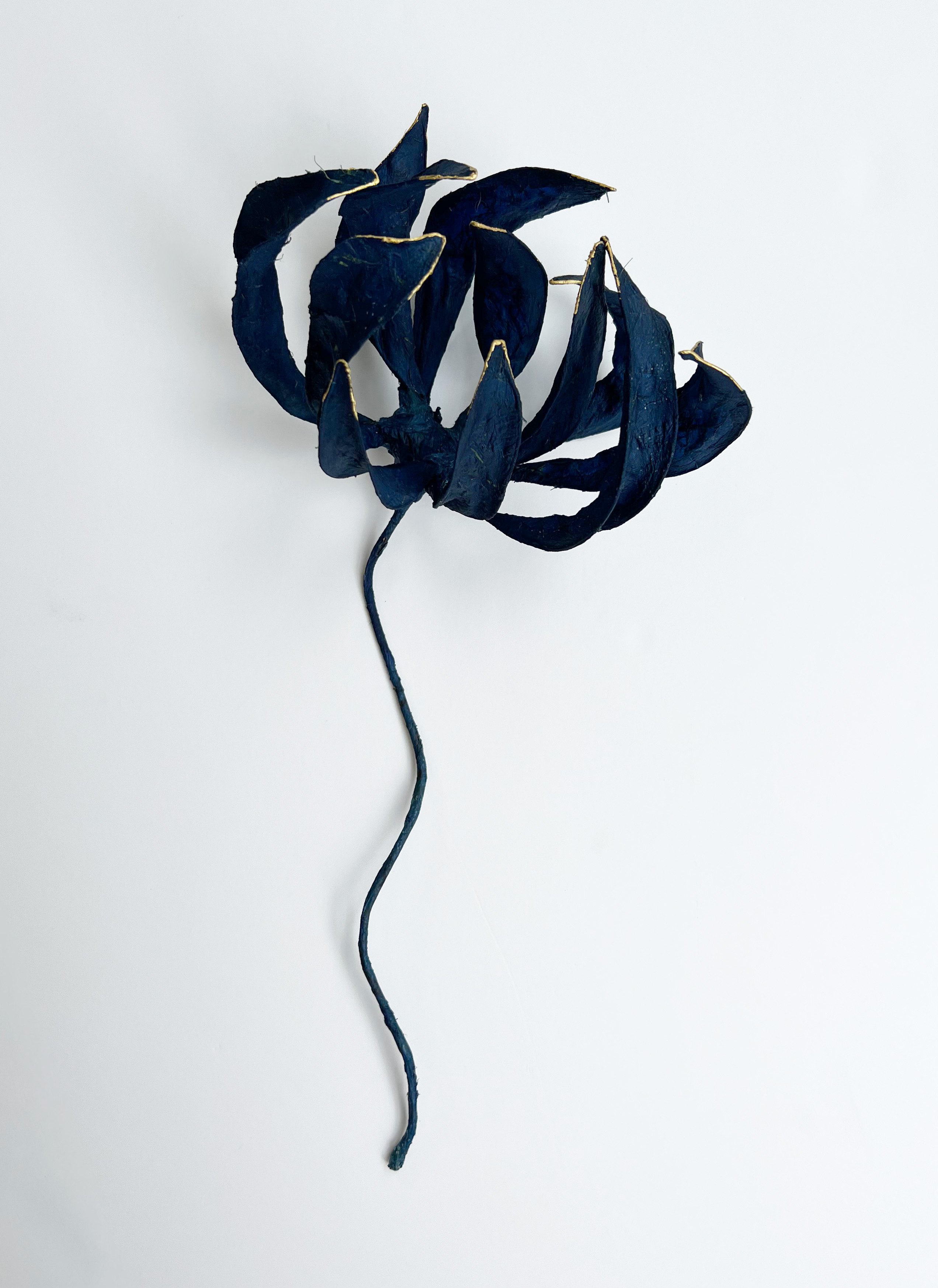 Small Indigo Blossom by Megan Singleton | ArtCloud
