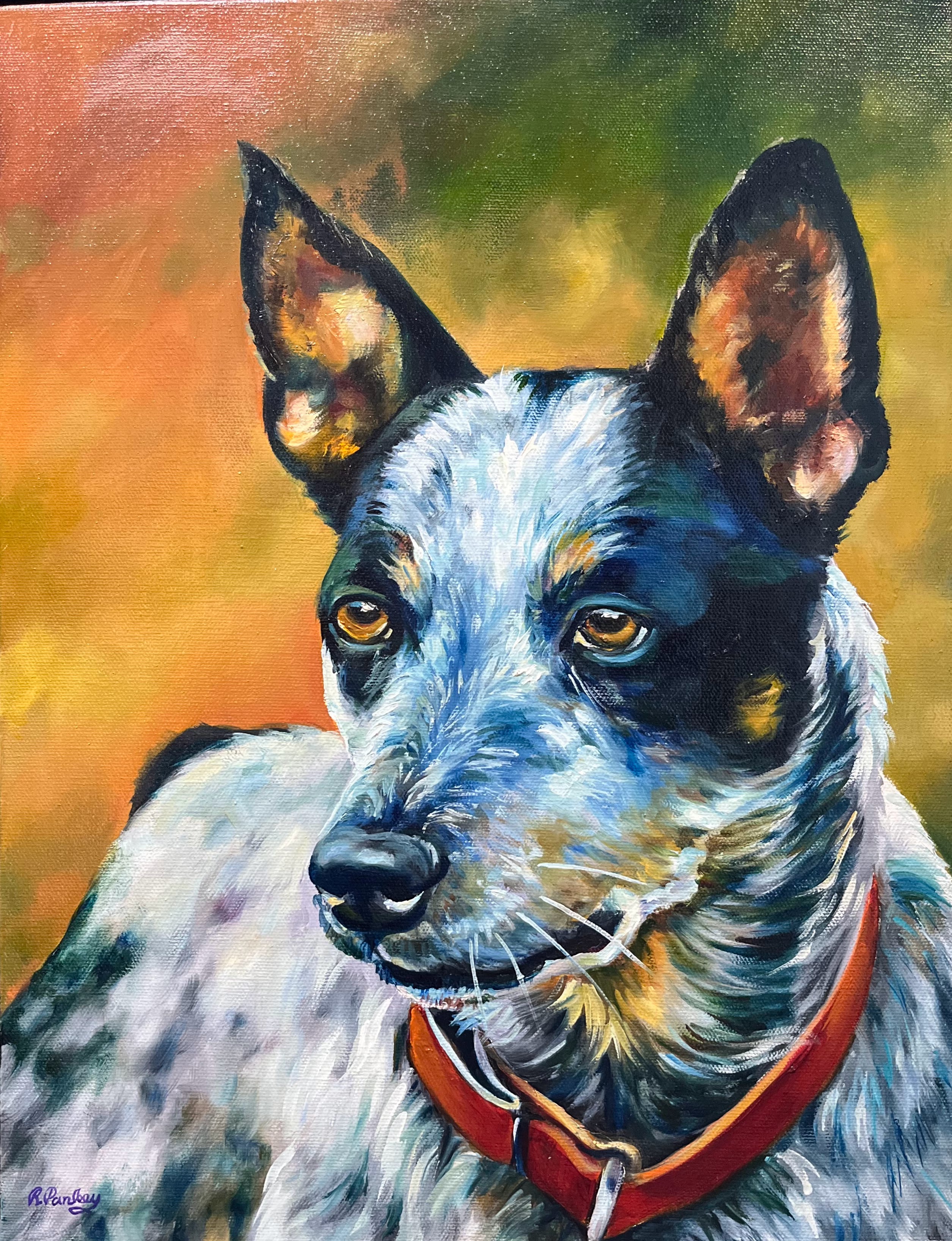 Australian Cattle Dog by Robert Pankey | ArtCloud