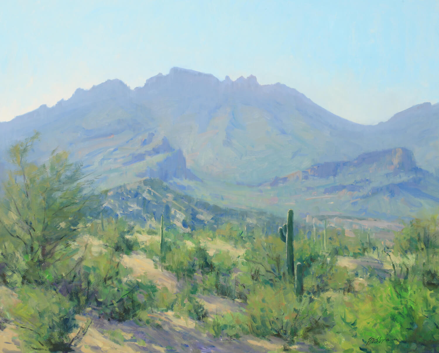 Arizona Morning by Tim Deibler | ArtCloud