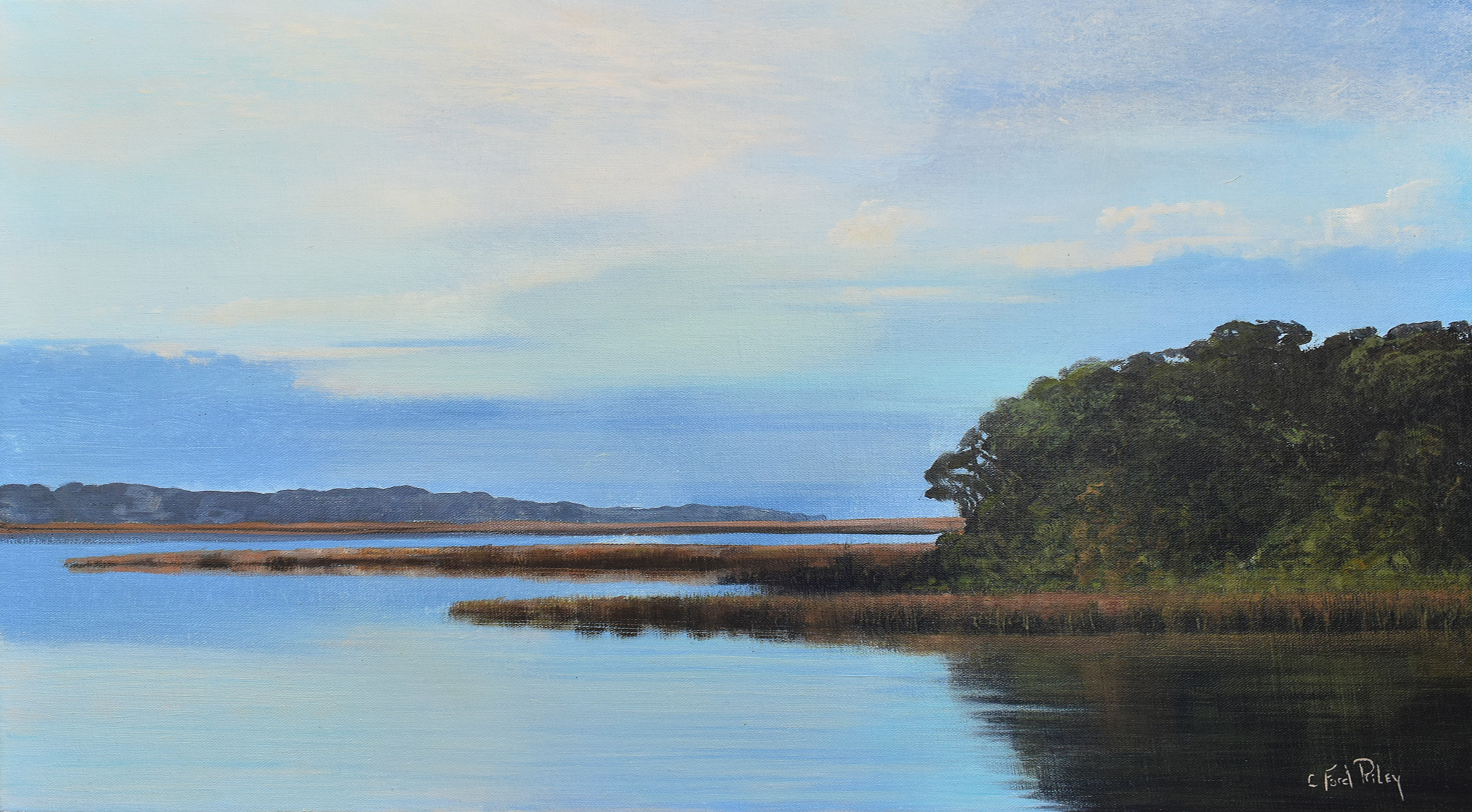 Serene Marsh by C. Ford Riley | ArtCloud