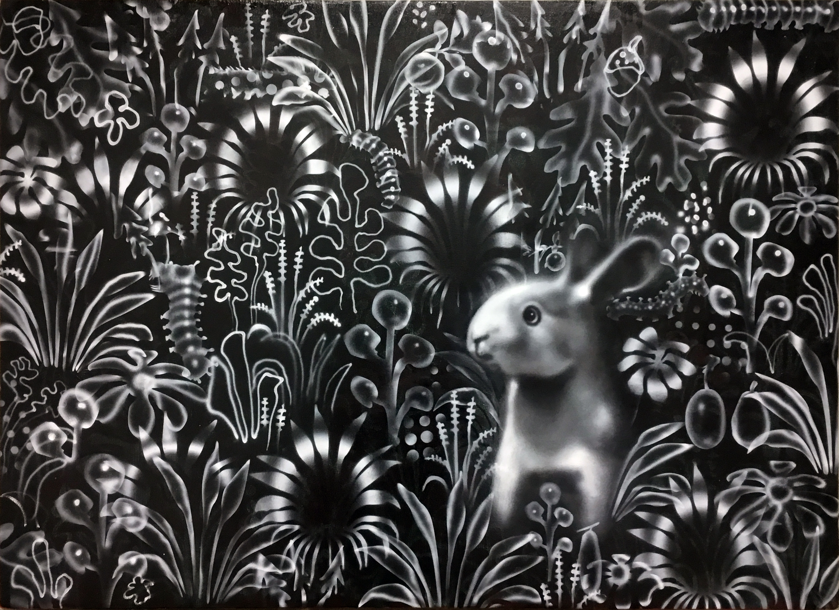 Black Meadow, White Rabbit by Joe Peragine | ArtCloud