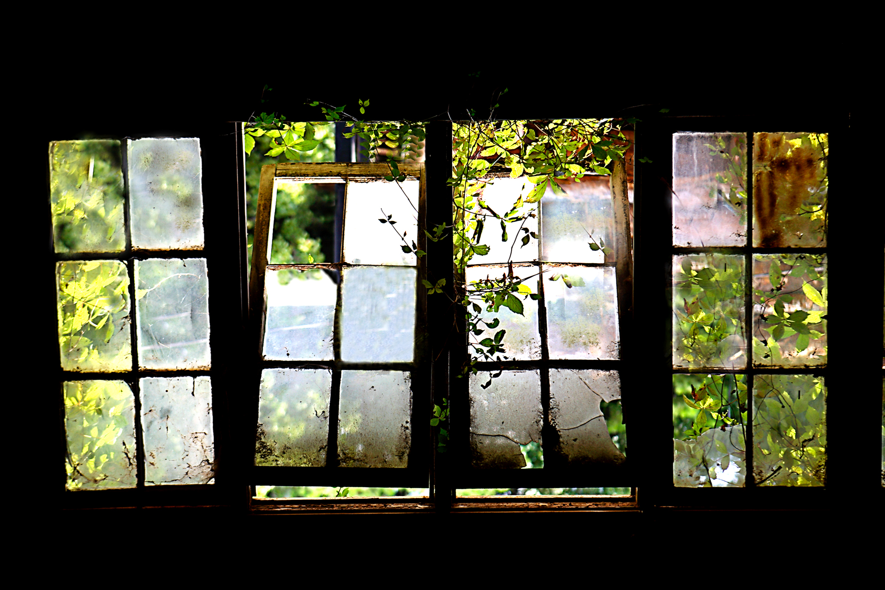 4828 by Joe Baraban | ArtCloud