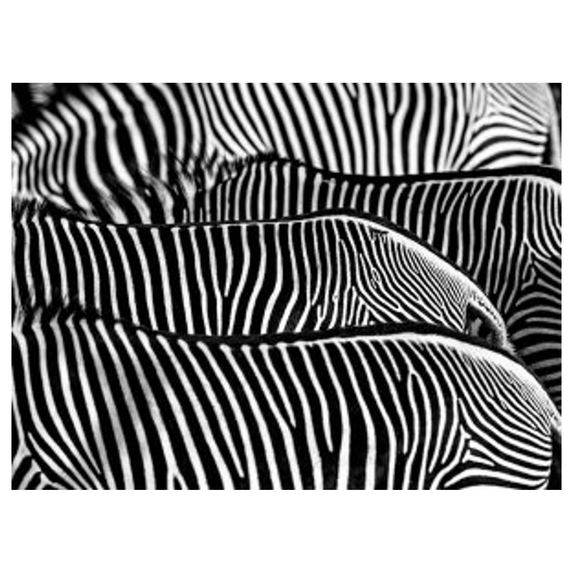 The Factory by David Yarrow | ArtCloud