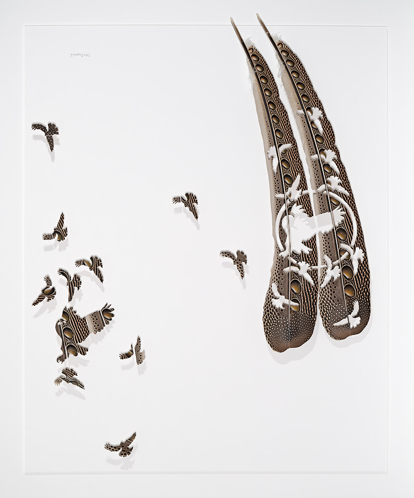 Chris Maynard | ArtCloud