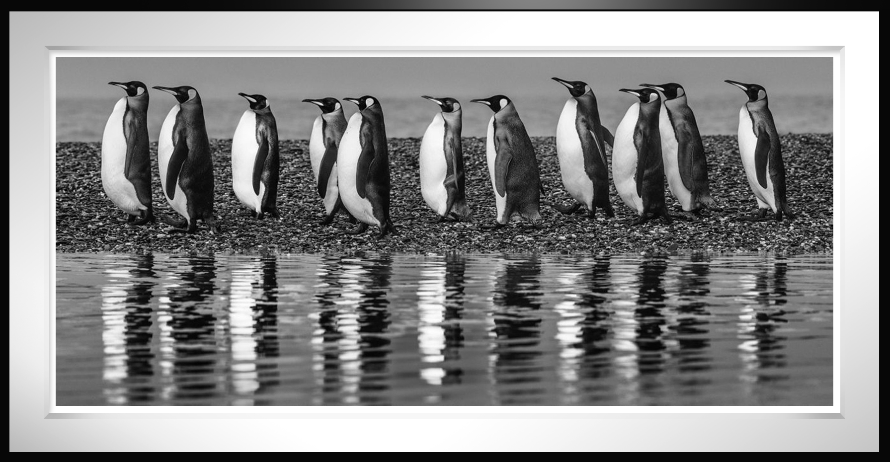 Ocean's 11 by David Yarrow | ArtCloud