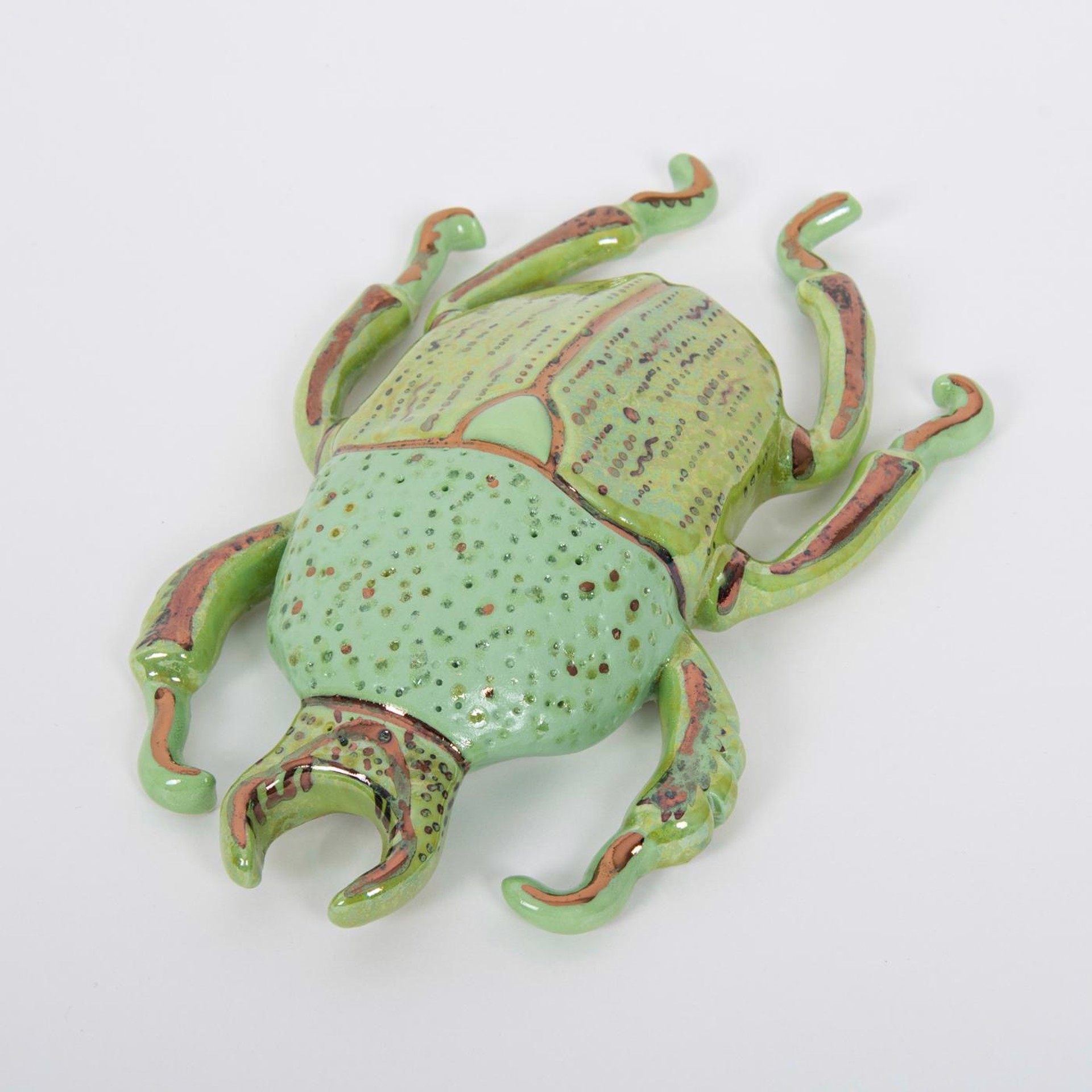 Jade Beetle (C.Undulata) by Silviya Saikali | Wentworth Galleries