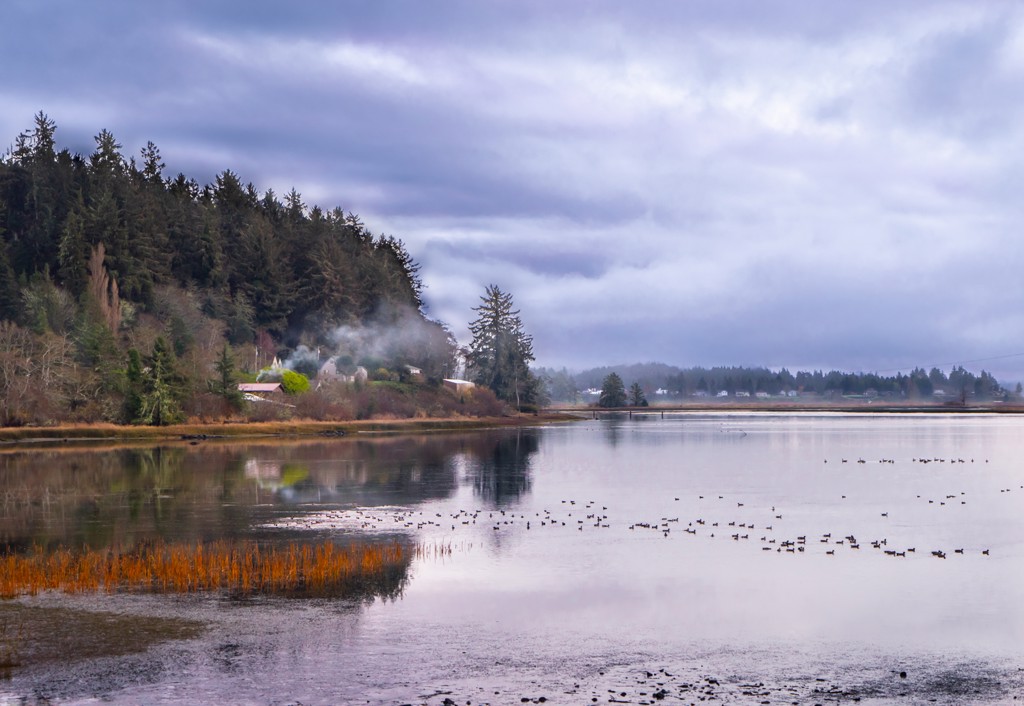 Youngs Bay by Roger Dorband | RiverSea Gallery