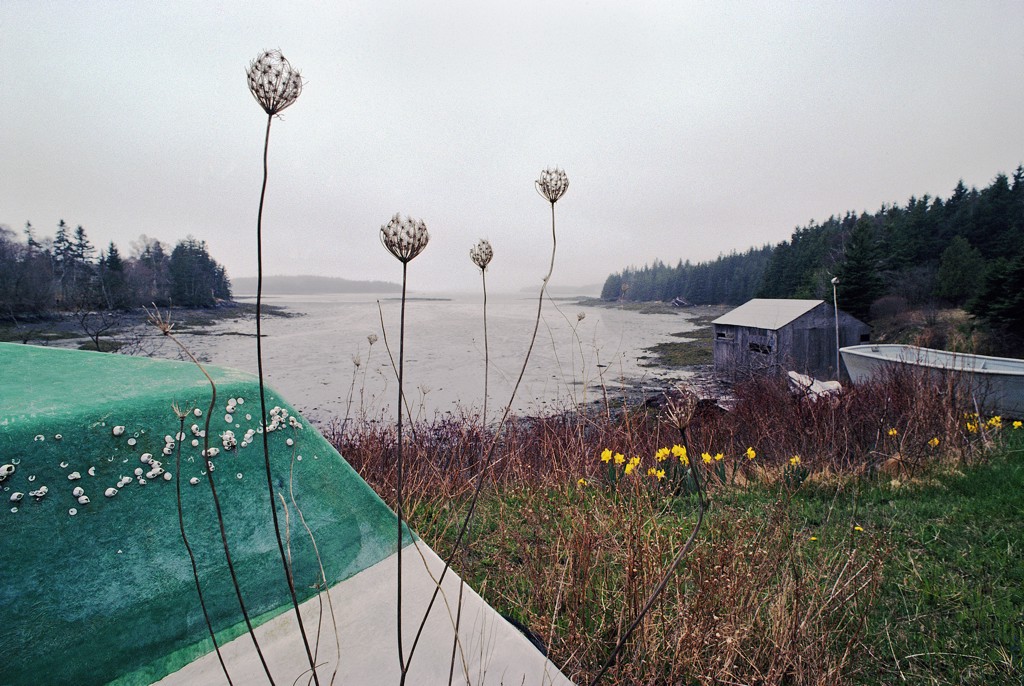 Spring by Peter Ralston | Ralston Gallery