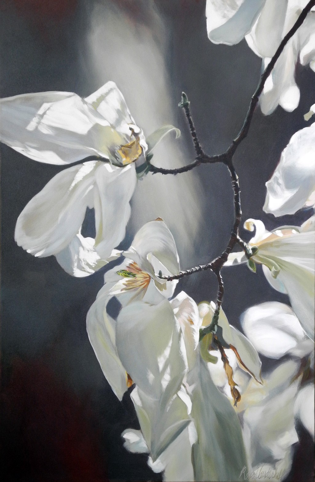Suspension of Light by Rein Vanderhill | J Petter Galleries