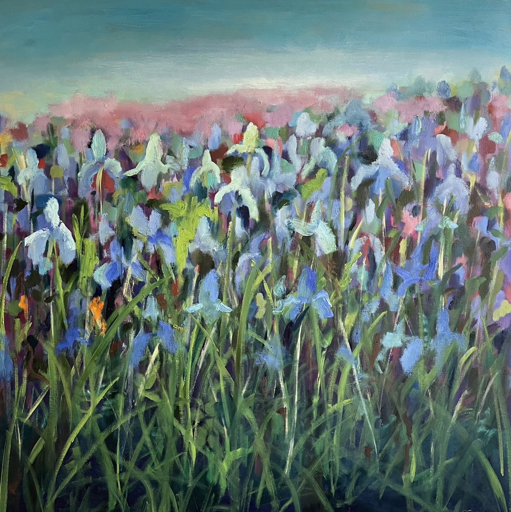 Iris Fields by Paul Chester | Colborne Street Gallery
