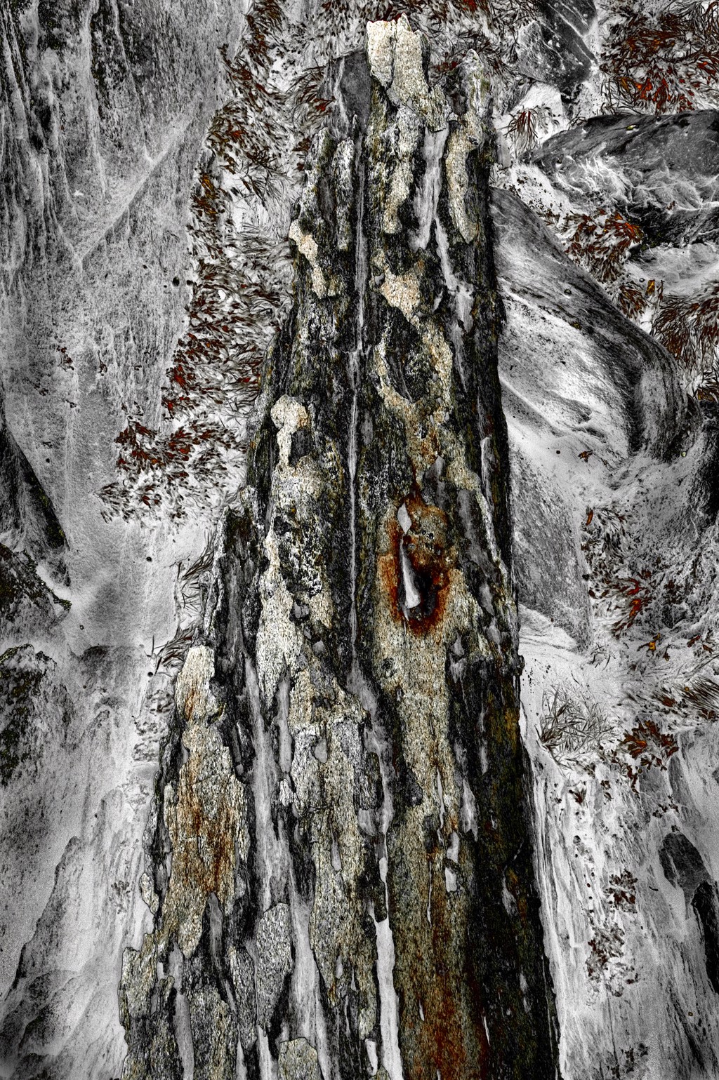 Ground Zero by Peter Ralston | Ralston Gallery