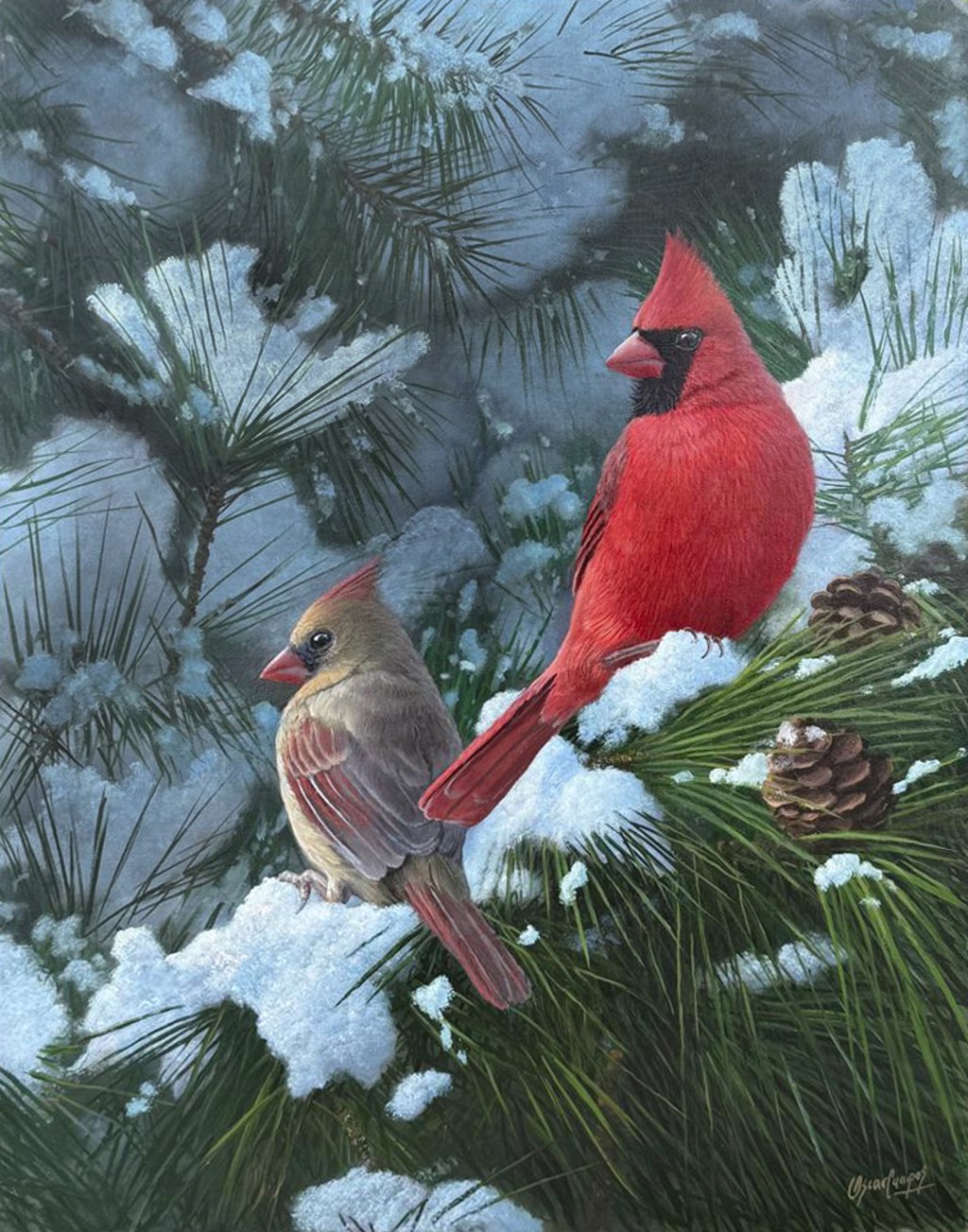 Cardinals in a Snowy Pine by Oscar Campos | Wilcox Gallery