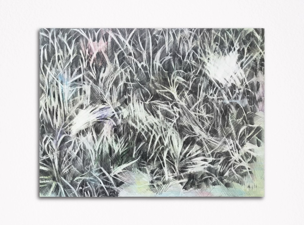 Grass Composition 2 (Alley Grass) by Rachel Wolfson Smith | Ivester ...