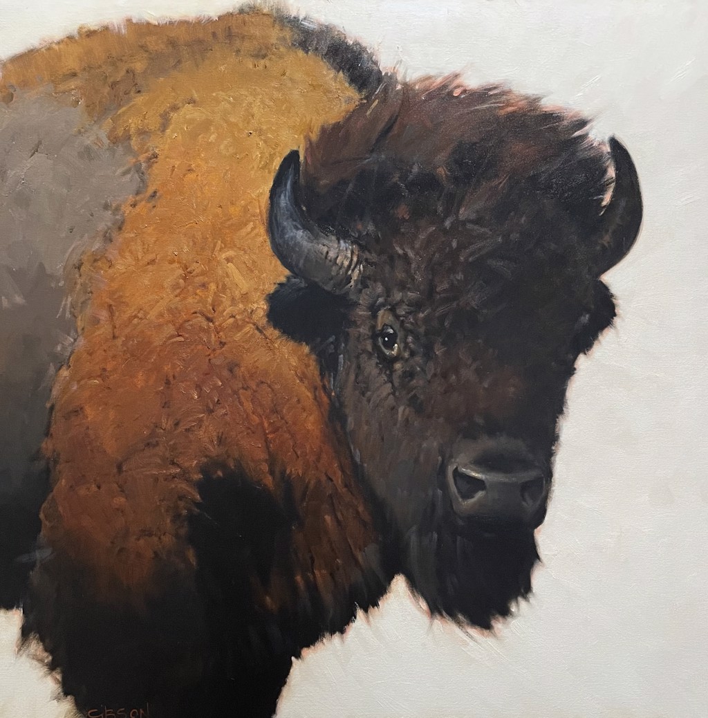 BISON SERIES II by Mark Gibson | Montana Trails Gallery