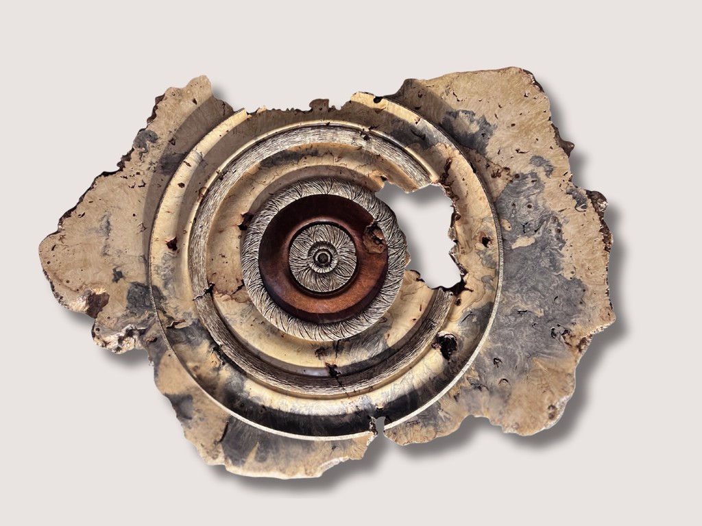 Buckeye / Redwood by Dave Barkby | Anticus - Fine Art, Books, Jewelry ...