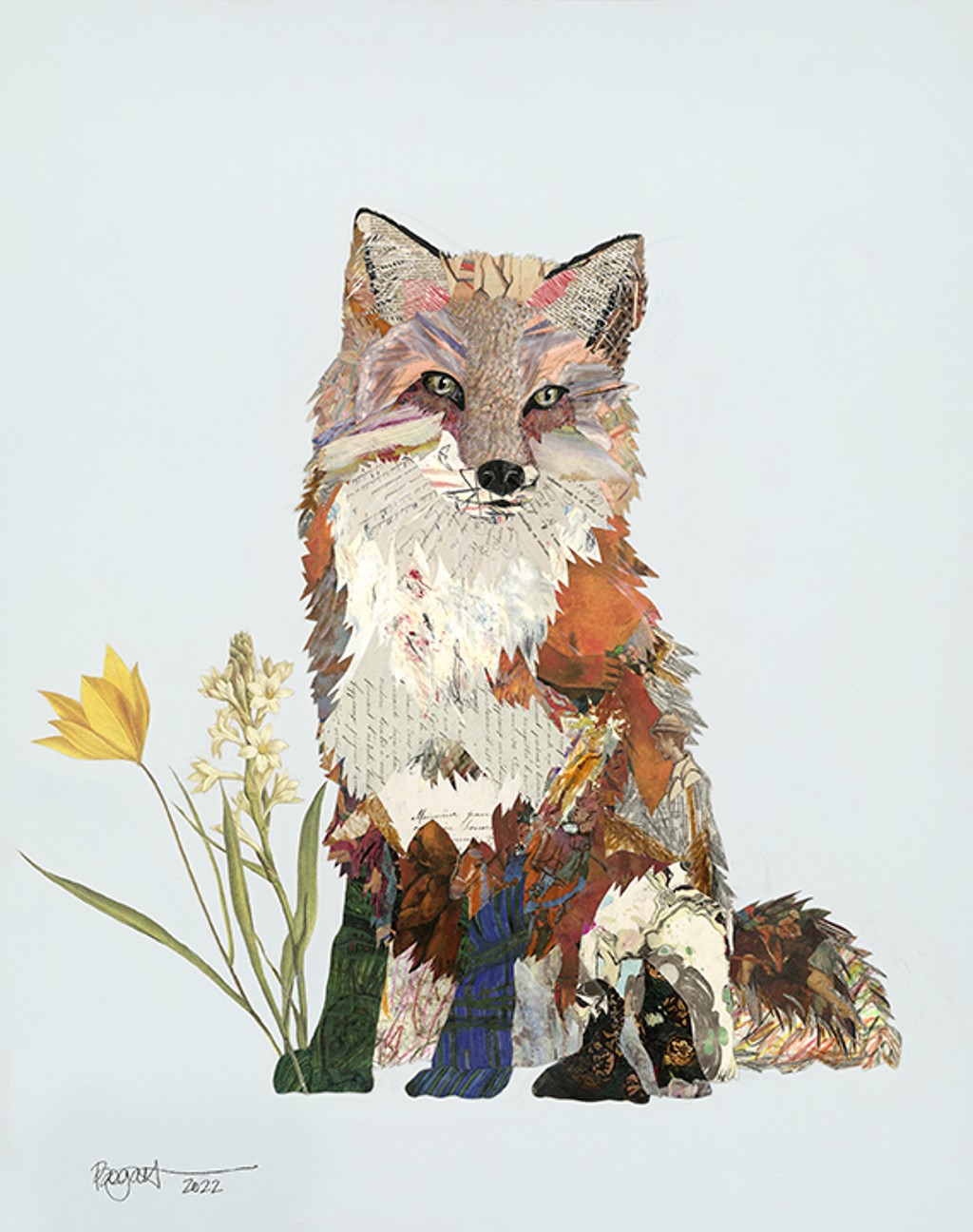 Fox 1 by Brenda Bogart - Prints | Anne Neilson Fine Art