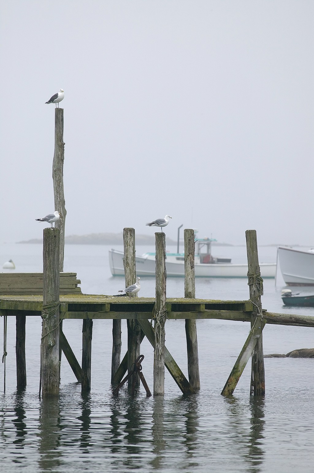 Stoic by Peter Ralston | Ralston Gallery