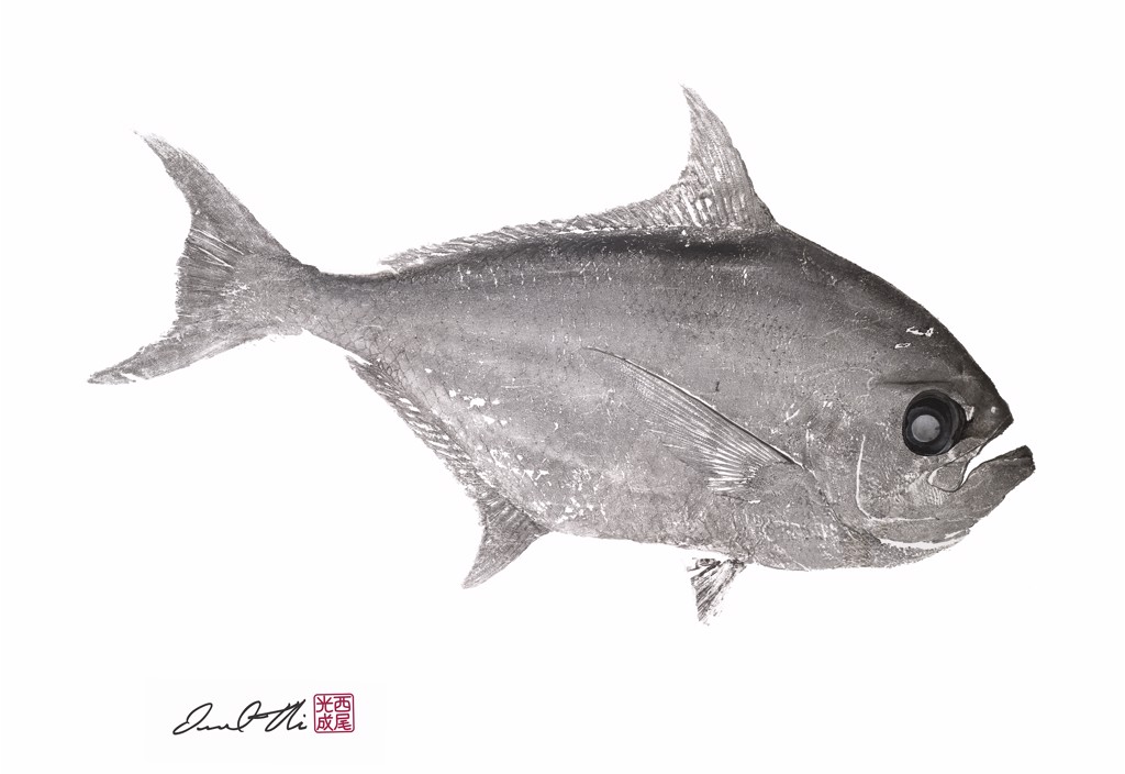Traditional Monchong by Desmond Thain | Wy's Galleries