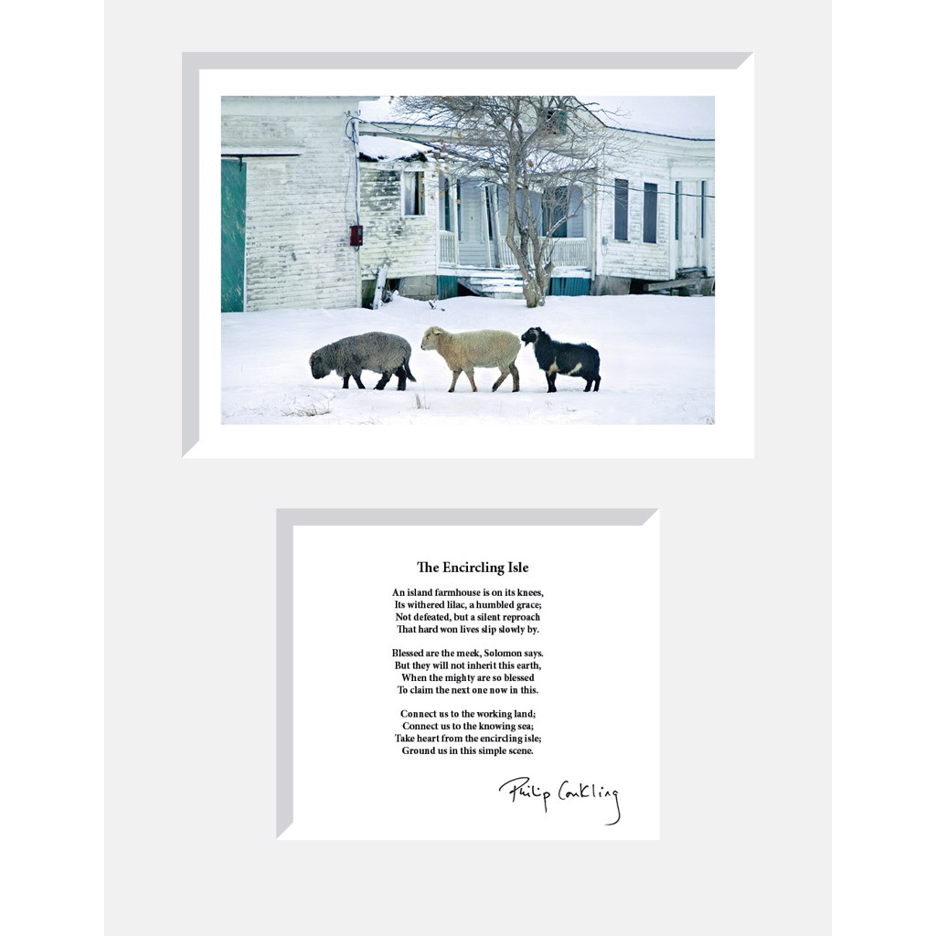 Going By by Peter Ralston | Ralston Gallery