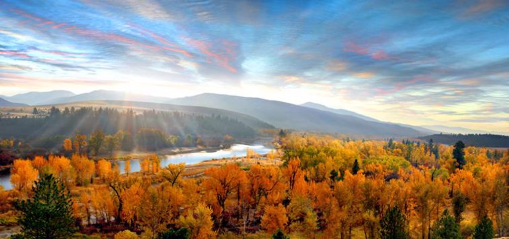 Bitterroot Valley Fall (8x17 Metal) by Pete Ramberg | Cassens Fine Art