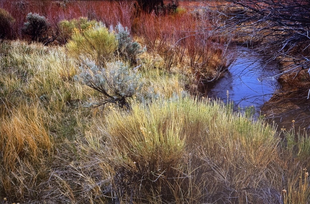 Alvord Creek by Roger Dorband | RiverSea Gallery