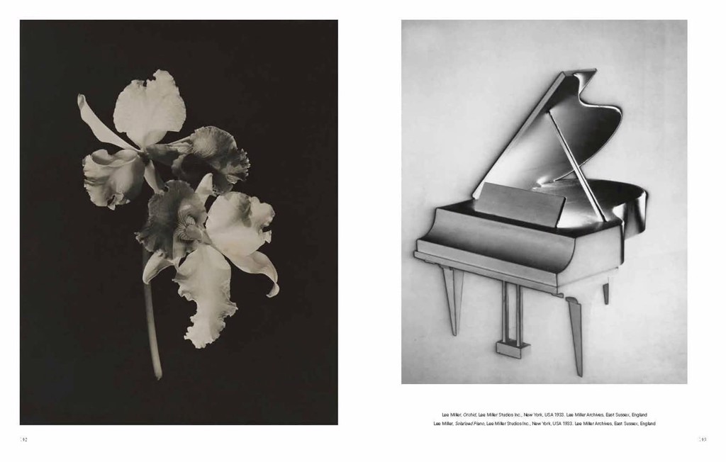 Man Ray Solarisation Lee Miller