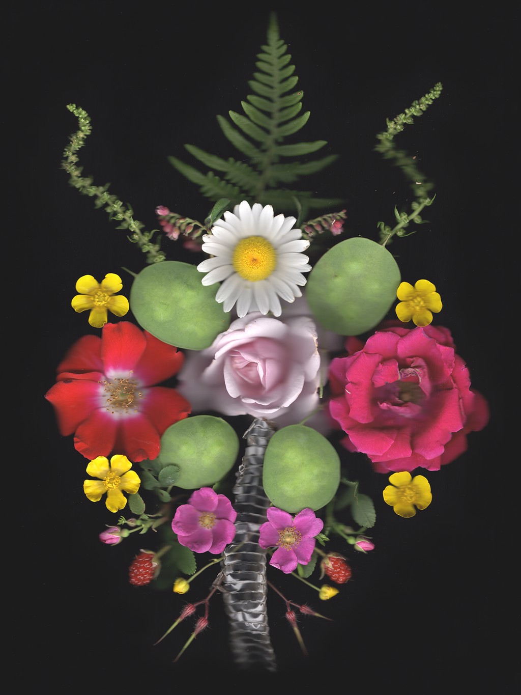 Seven Oaks June 2025 by Grace Duda | Vaunt Gallery