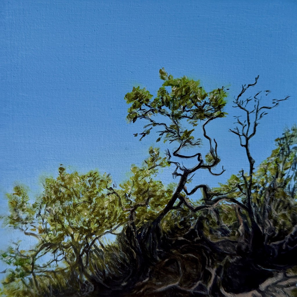 Dune Crest by Nancy Jenner | AMZehnder Gallery