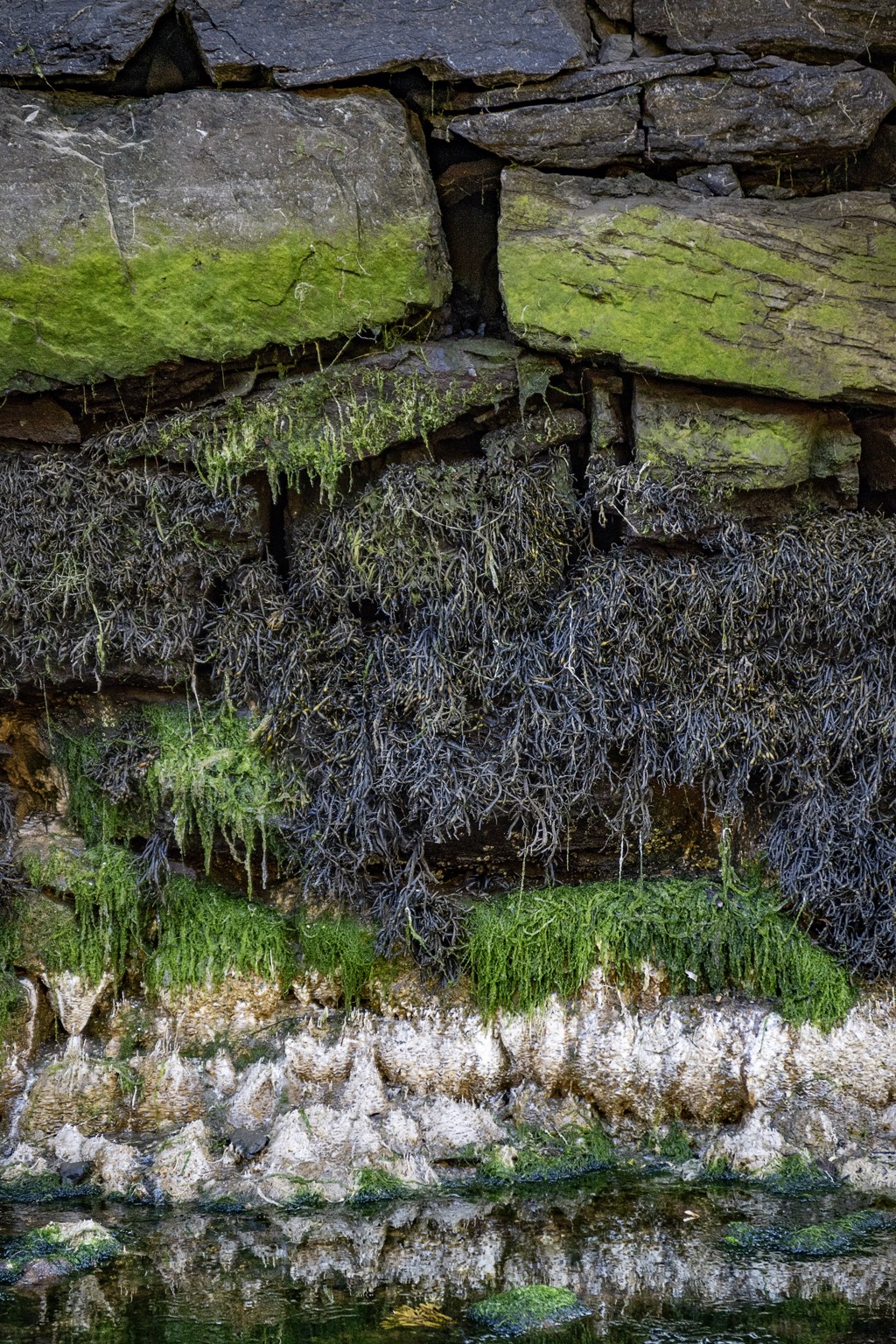 Strata by Peter Ralston | Ralston Gallery