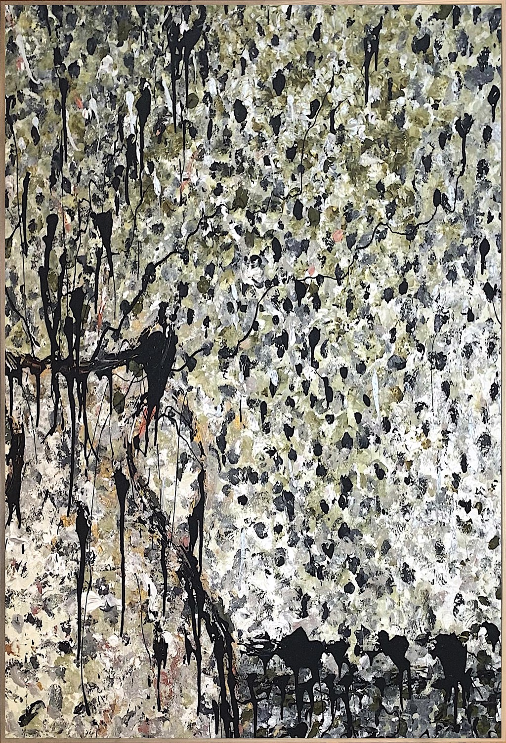 'Olive Tree Series' by Debra Hutton | Nissarana Galleries