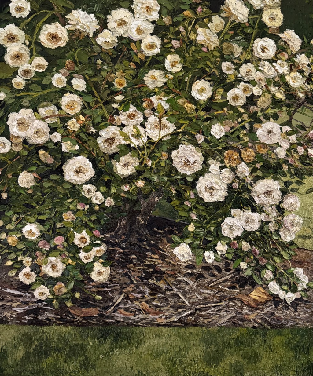 Roses In The Sunlight by Emily Persson | Wentworth Galleries