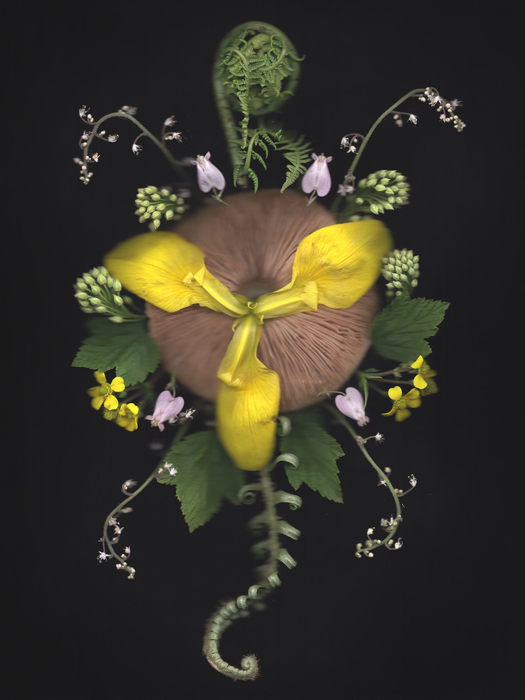Millersylvania May 2025 by Grace Duda | Vaunt Gallery