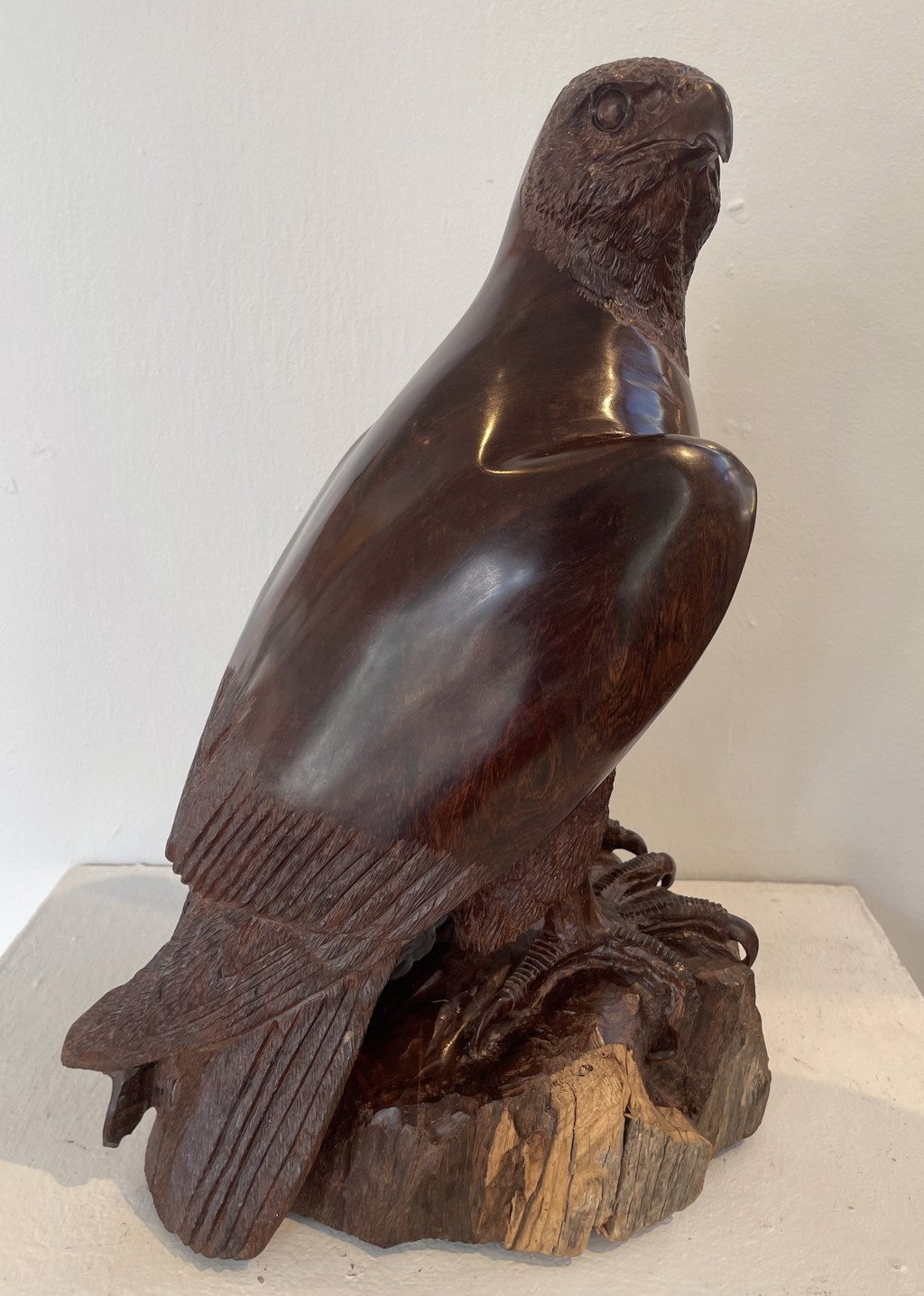 Large Peregrin Falcon by Thomas Suby | Breckenridge Gallery