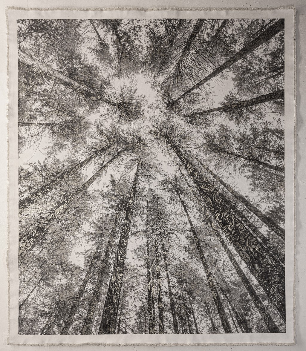 Forest Canopy Pacific Spirit Park 1 by Bill Claps | Vaunt Gallery