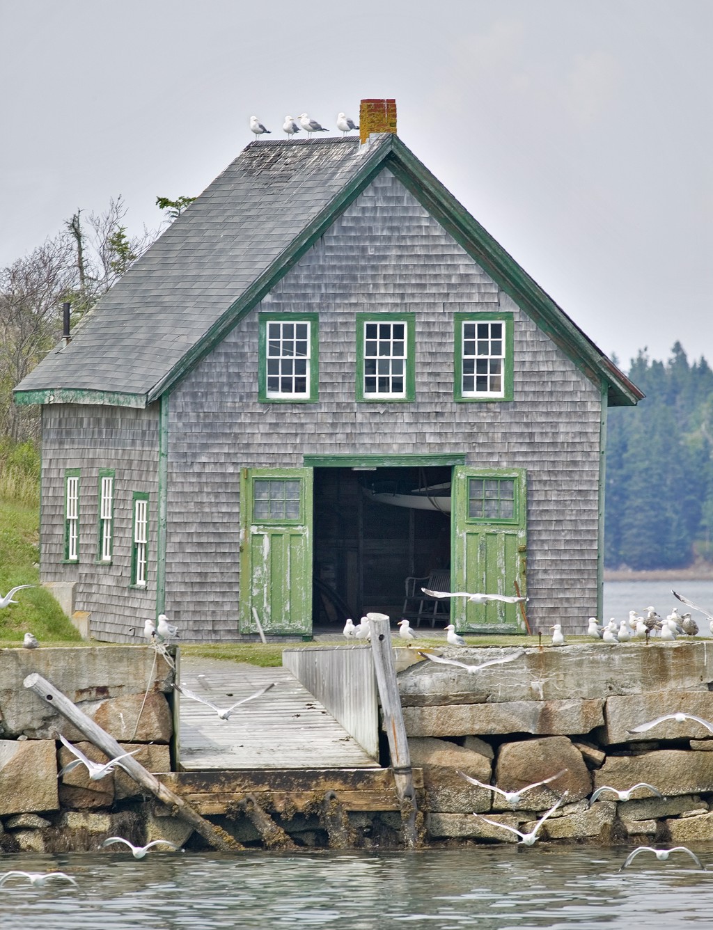 Bird House by Peter Ralston | Ralston Gallery