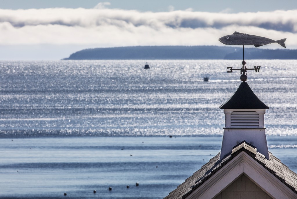Taylor's View by Peter Ralston | Ralston Gallery