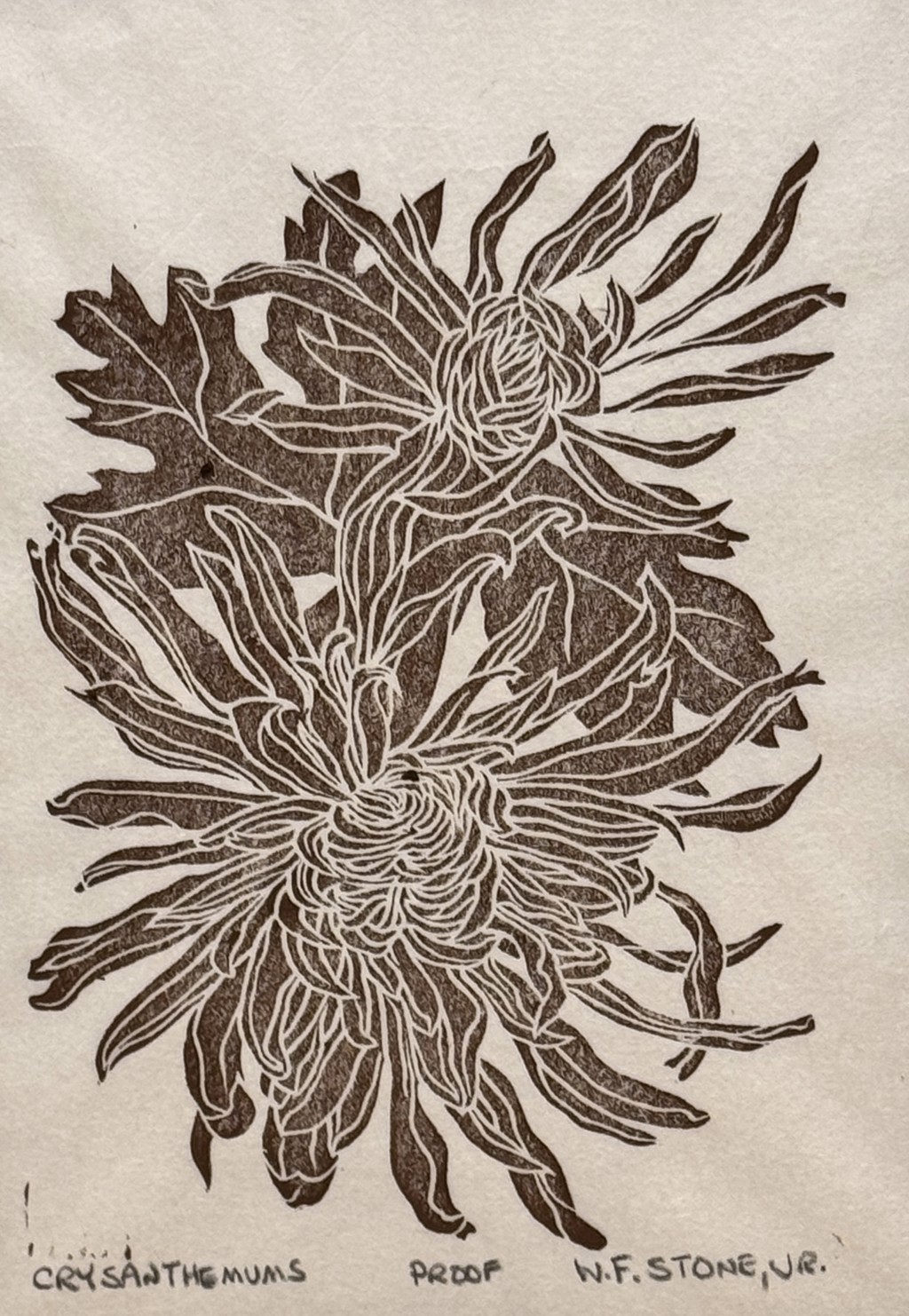 Chrysanthemums, Artist Proof by William F. Stone | Carmel Art Association