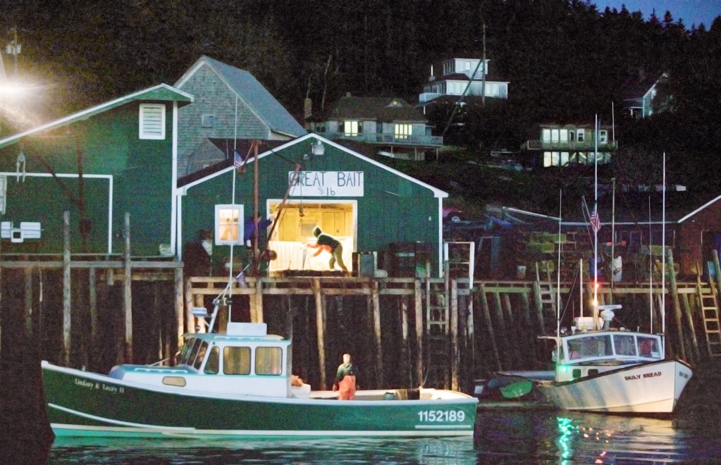 Great Bait by Peter Ralston | Ralston Gallery