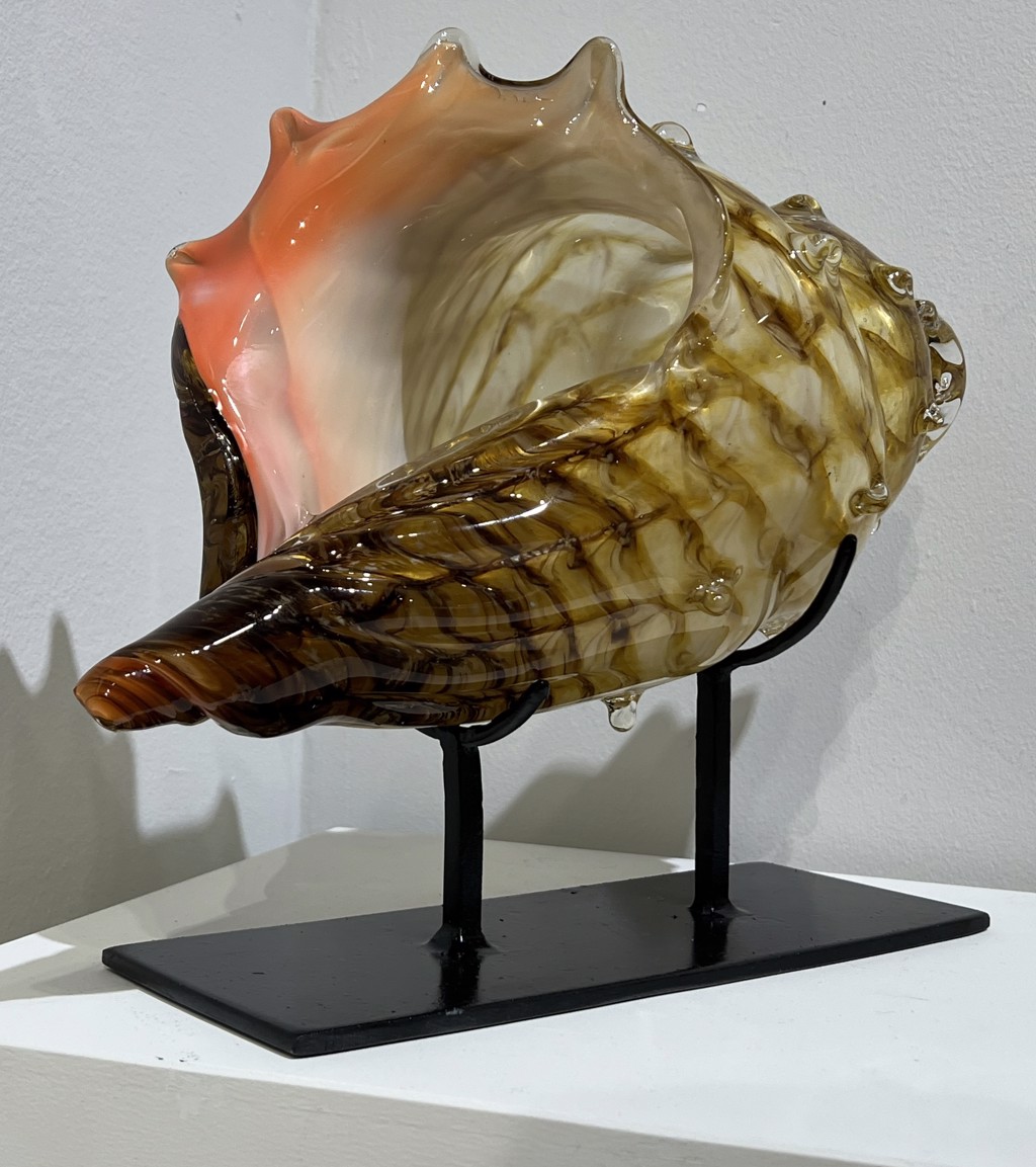 Conch Shell by Rob Stern | Thomas Deans Fine Art