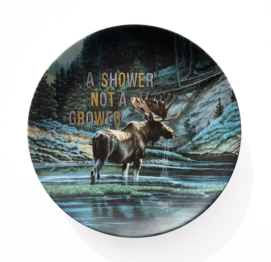 A Shower Not A Grower by Marie-Claude Marquis | Galerie Robertson Ares