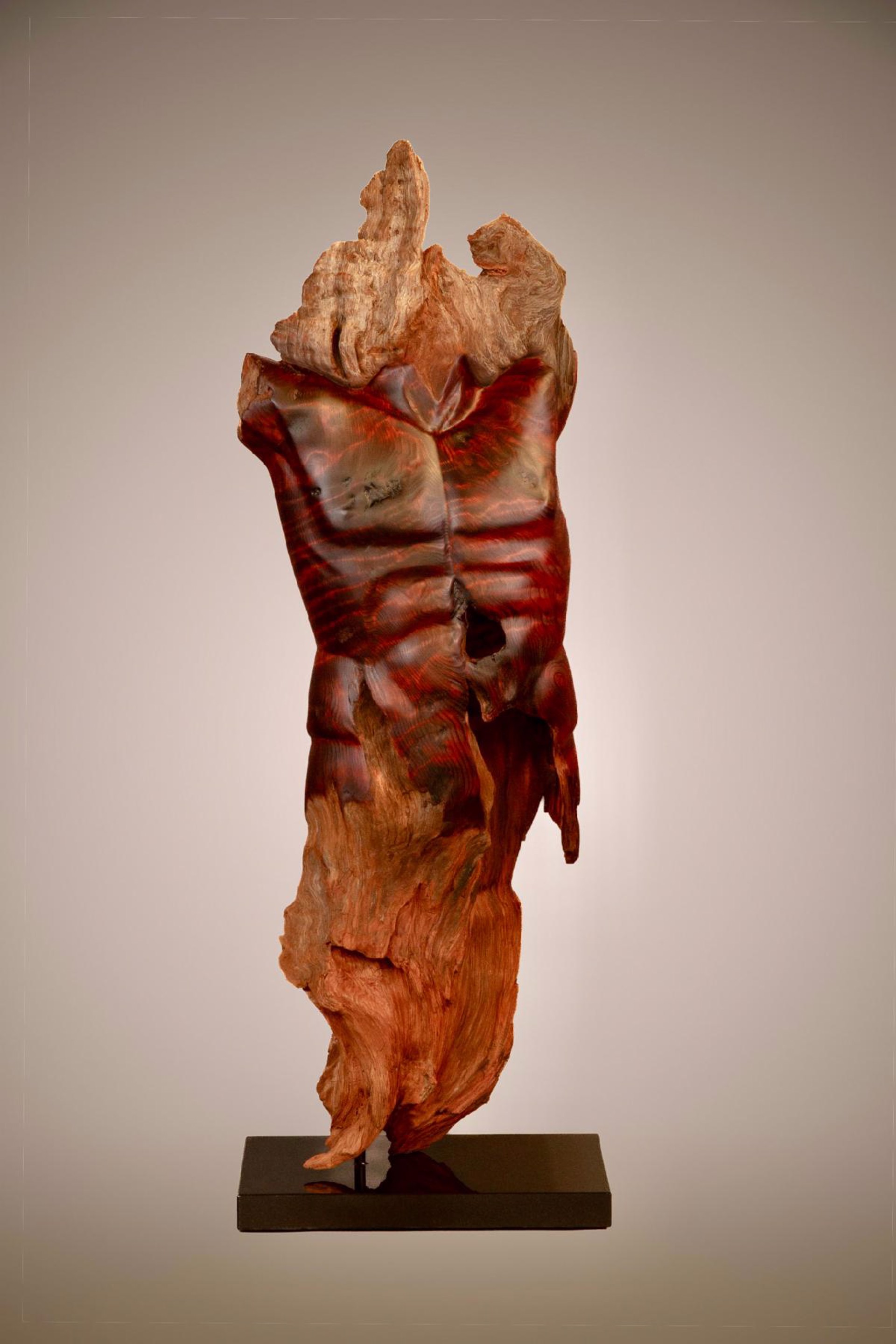 The Fire Within by Crystal Lockwood | Bronze Coast Gallery & Brumfield ...