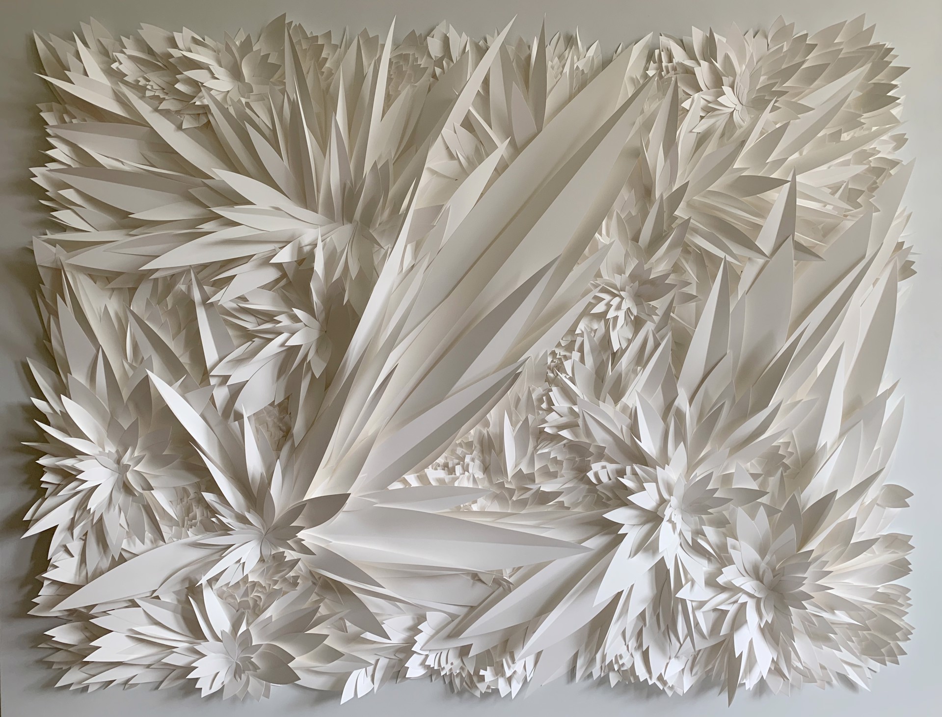 Julia Johnson | Steidel Contemporary