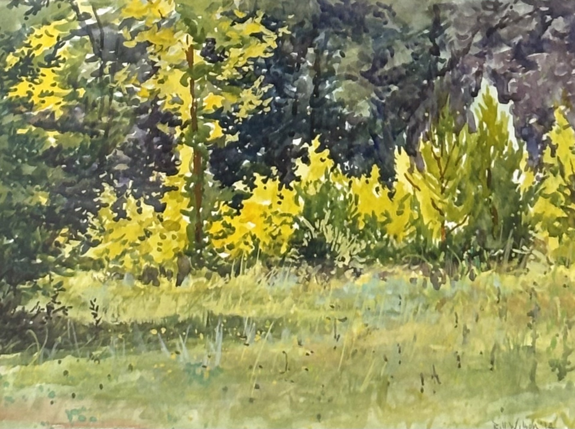South Pasture by Bill Wilson | Pacesetter Gallery