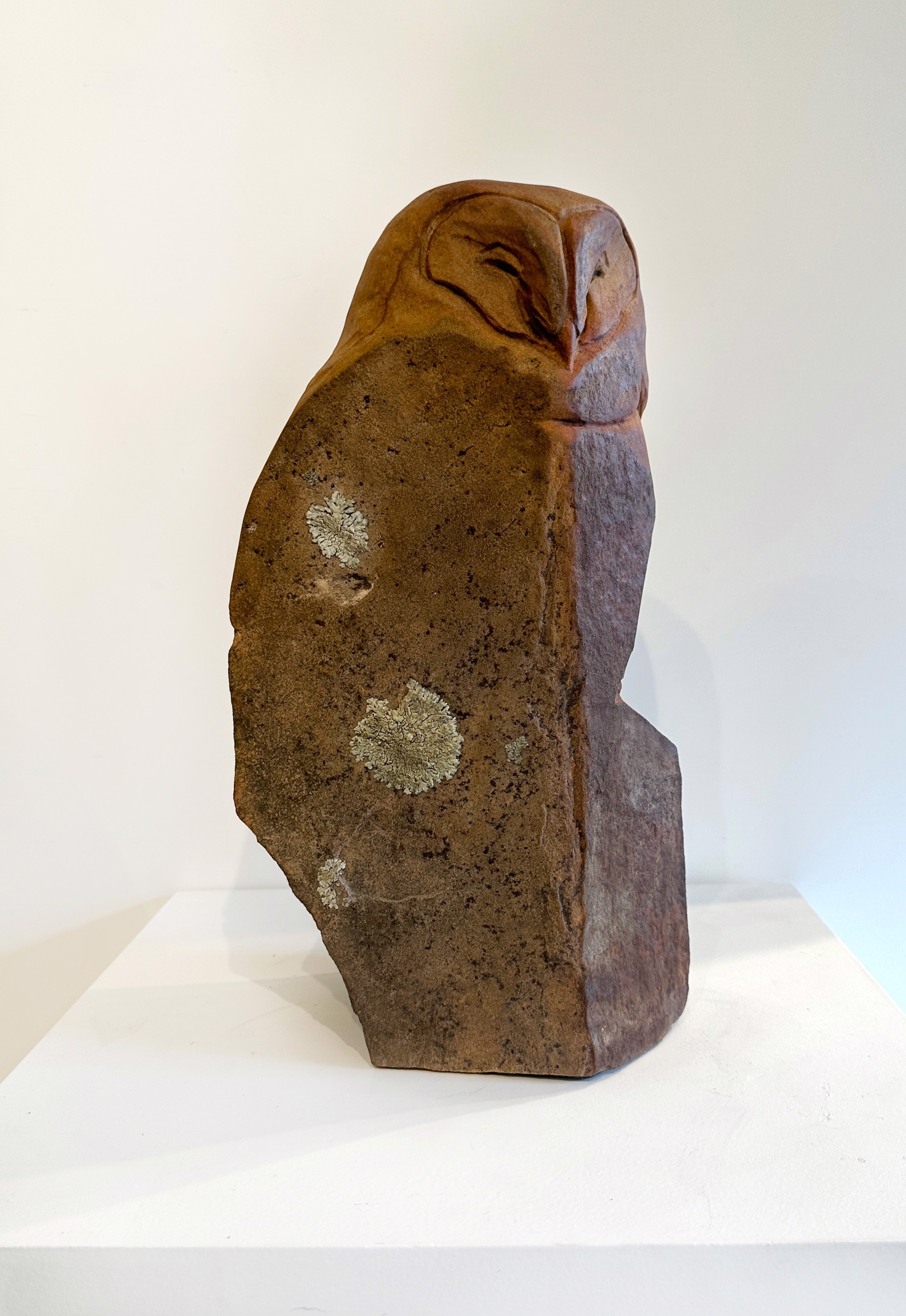 Vulnerable by Richard Burke | Gallery Wild
