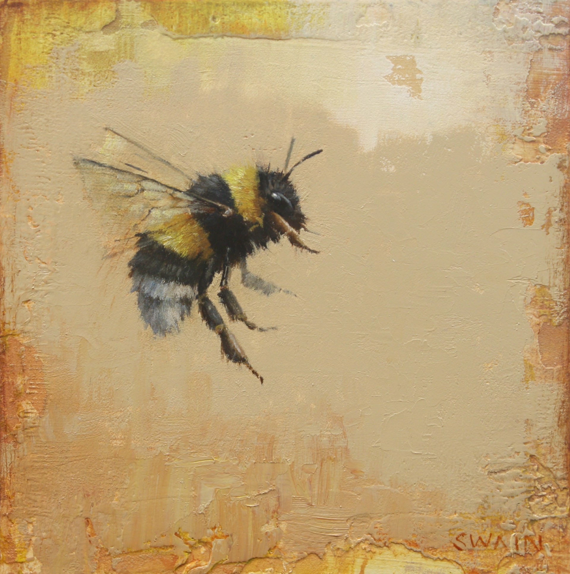 Animated by Tyler Swain | The Marshall Gallery