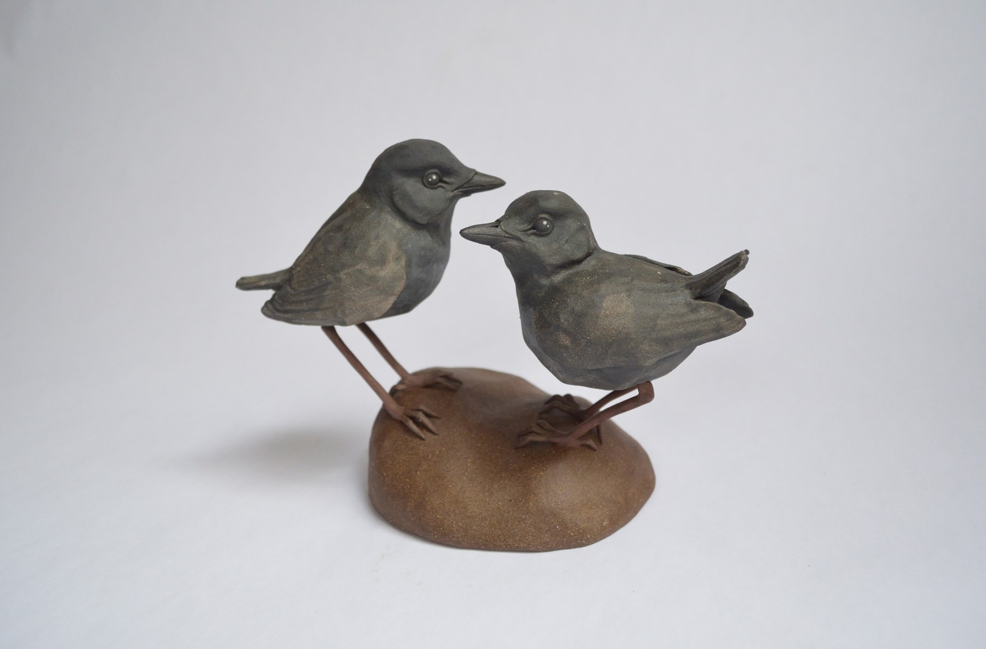 American Dippers by Sarah J. Conti | Olson-Larsen Galleries