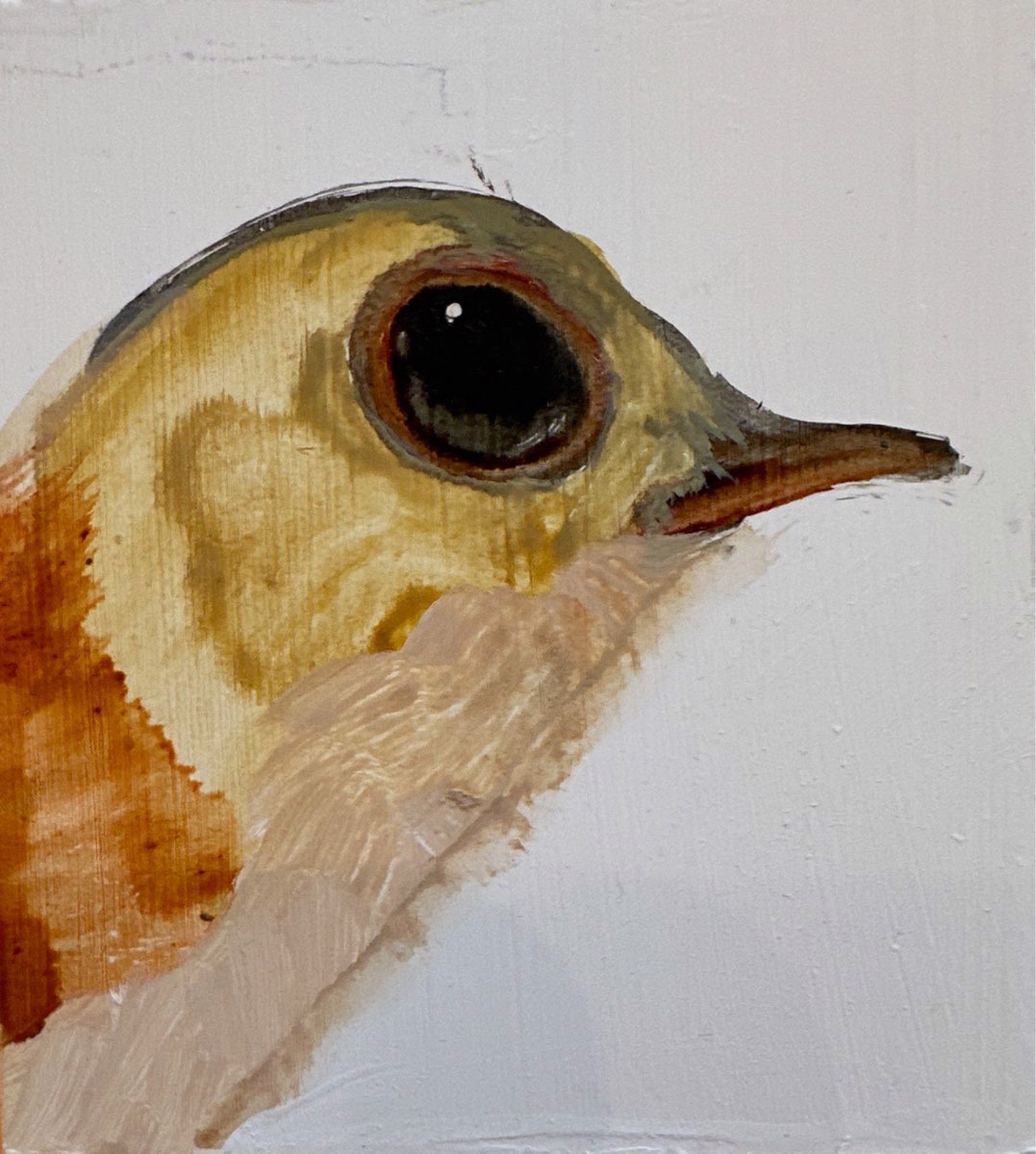 Bird Block by Diane Kilgore Condon | Art and Light Gallery